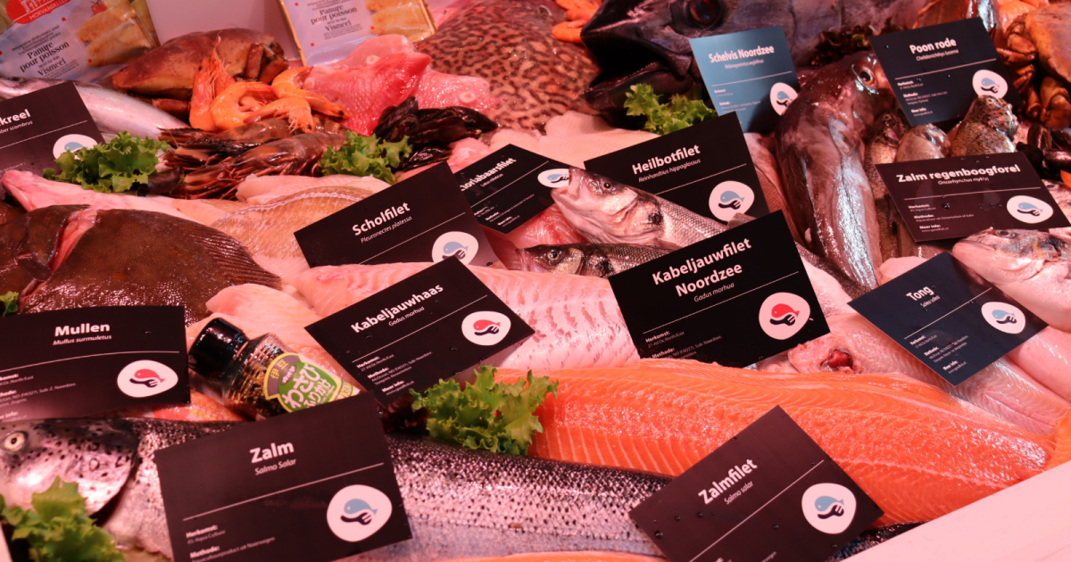 Good Fish ondersteunt verduurzaming Kennemervis Groep