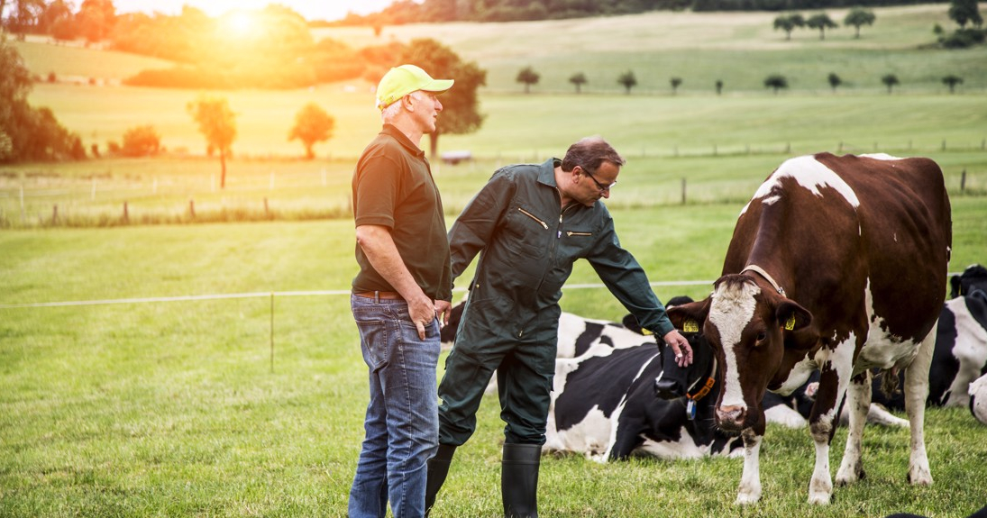 Arla heeft last van inflatie en veranderend koopgedrag