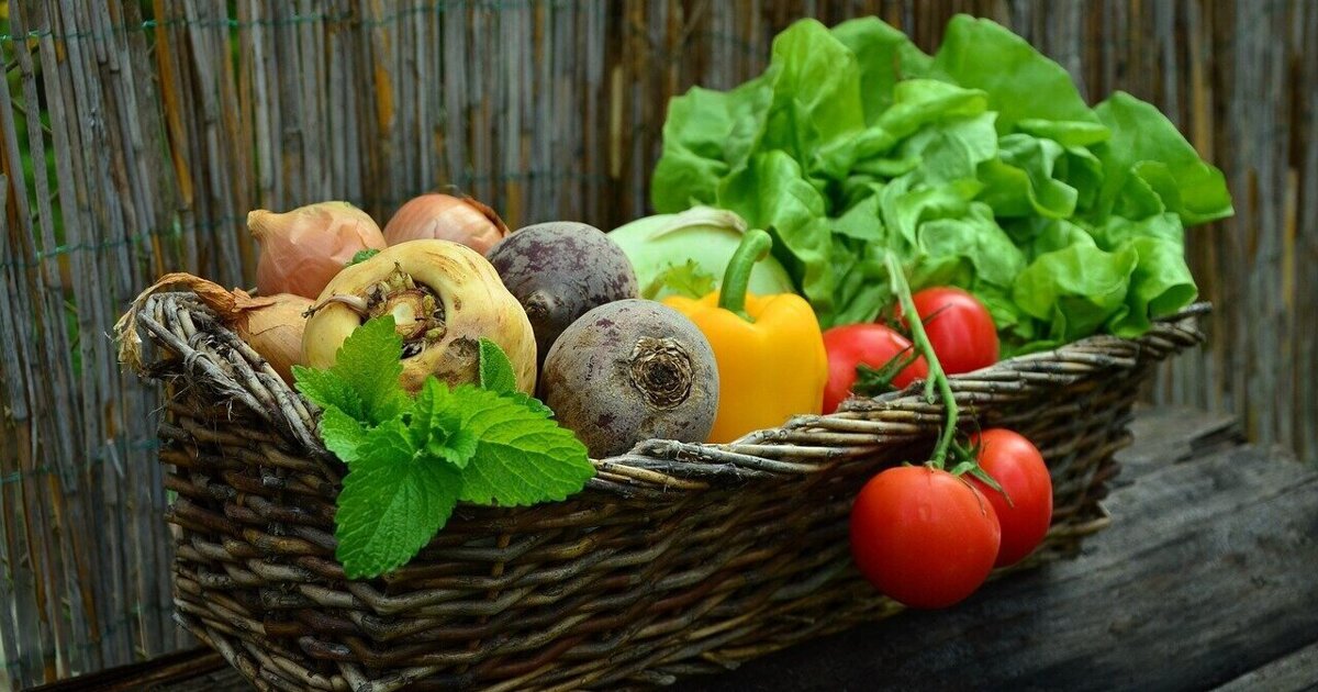 Jumbo zet volgende stap in transitie naar duurzame voeding