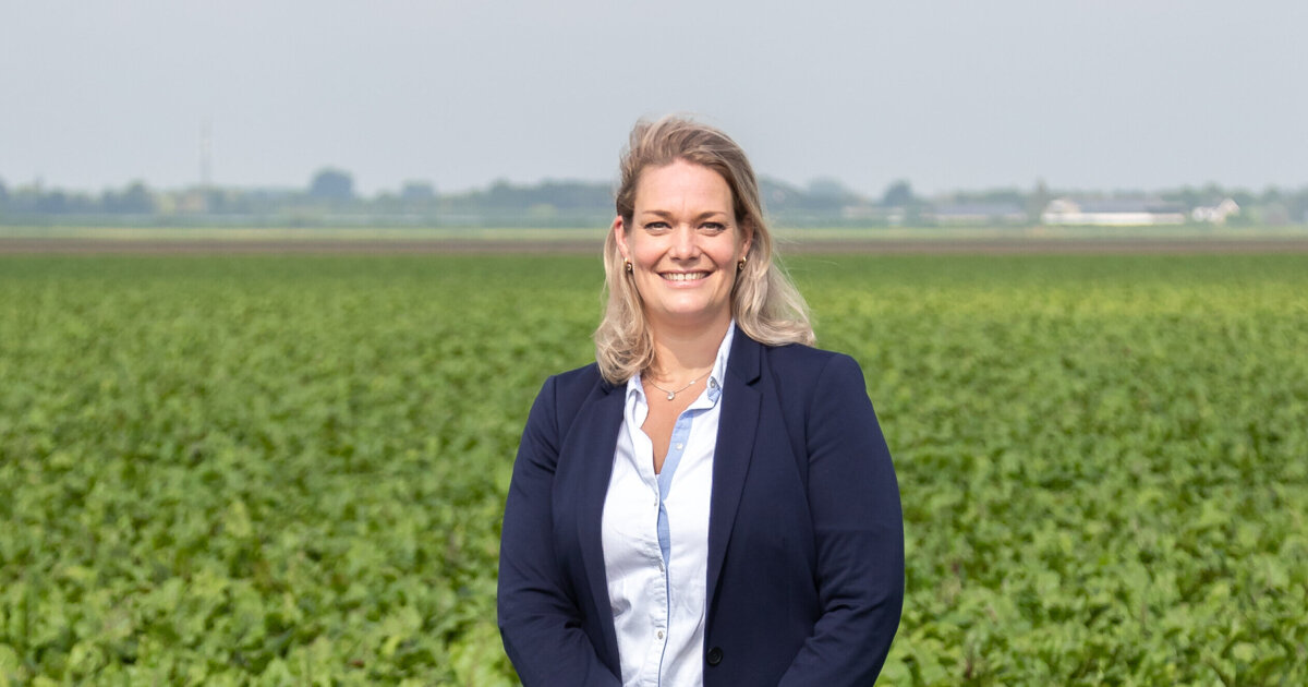 Wisseling in operationele leiding Hak